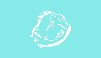 Windscreen Specifications Guide - Windscreen Compare