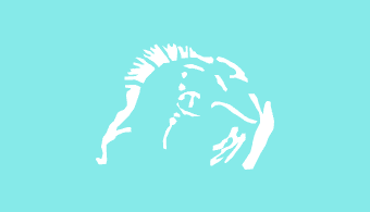 Windscreen Specifications Guide - Windscreen Compare